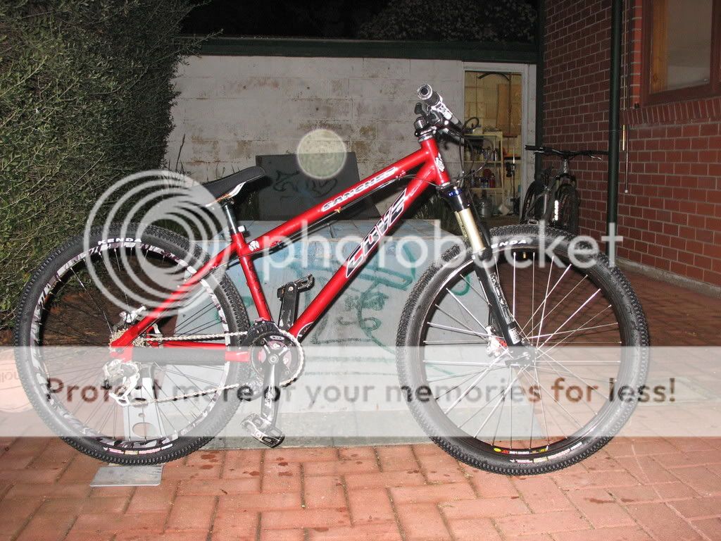 Cove Shocker & Cove Sanchez | Rotorburn