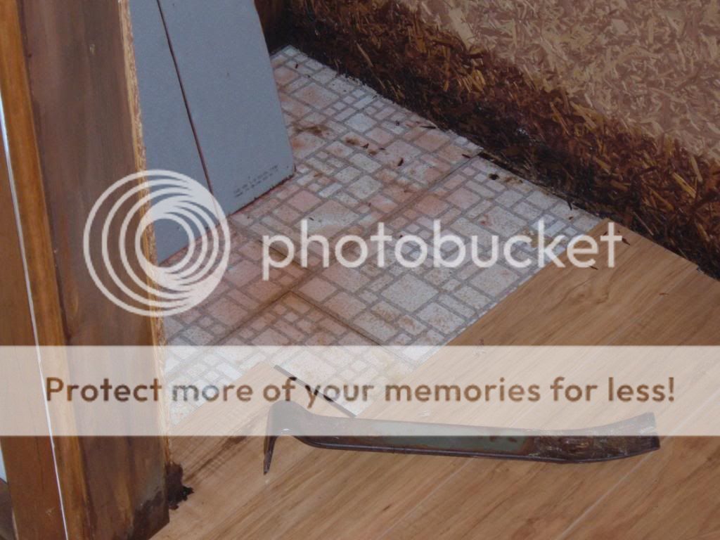 Oil spill update | Arborist, Chainsaw & Tree Work Forum