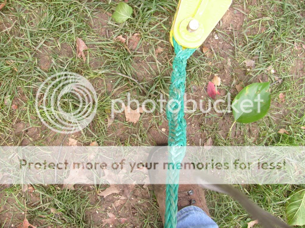 More eye splice mayhem | Arborist, Chainsaw & Tree Work Forum