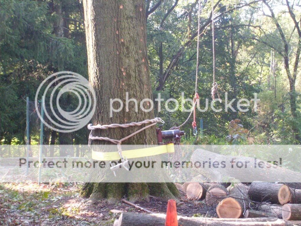 Homemade eye splice | Arborist, Chainsaw & Tree Work Forum