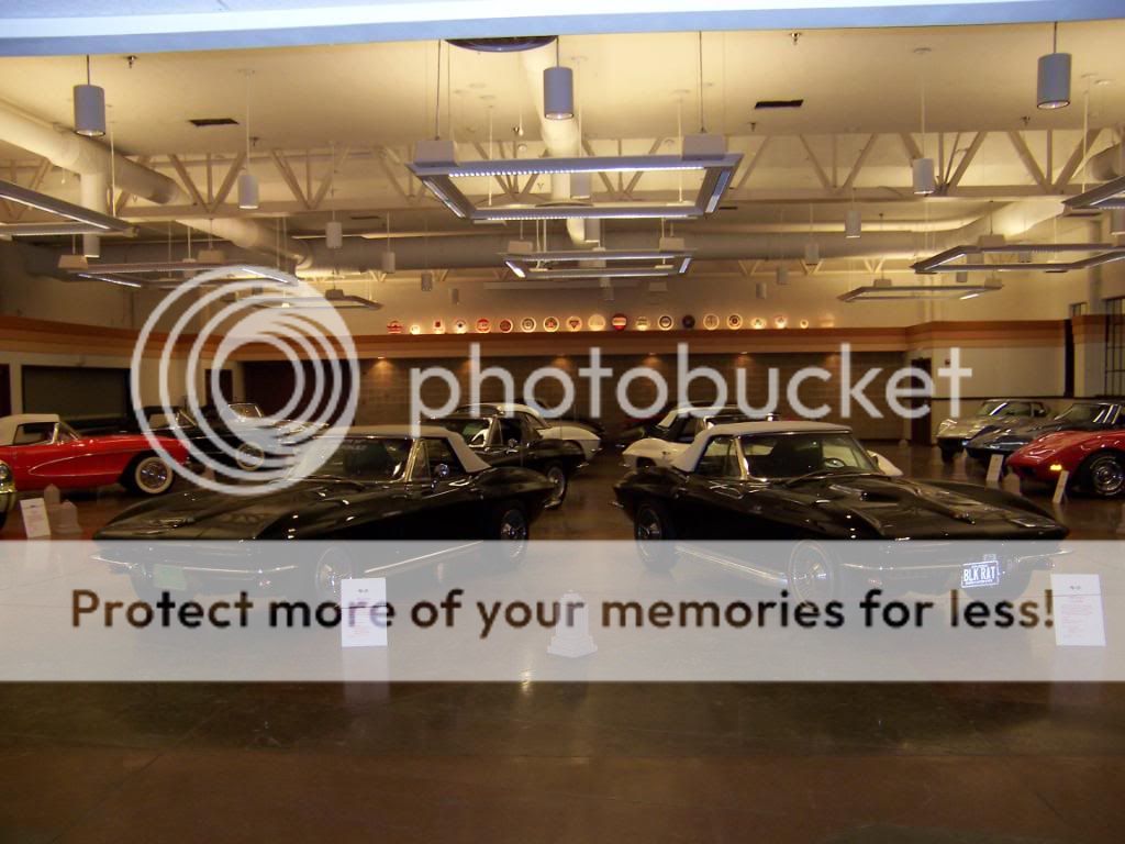 Nice Corvette Display - CorvetteForum - Chevrolet Corvette Forum Discussion